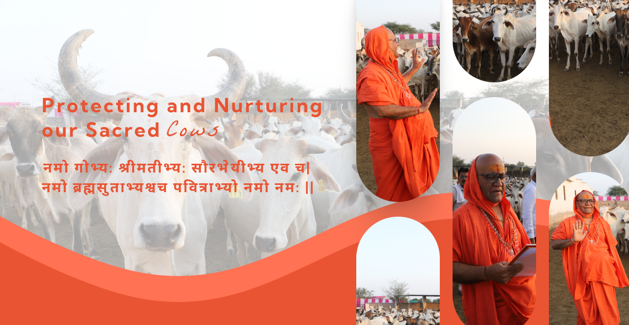 Govind Gopal Gaushala Seva Sansthan, Inana, Nagaur (Raj)